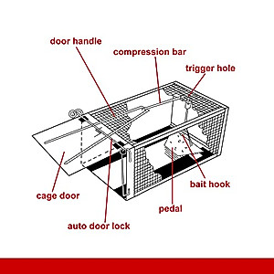 Humane Animal Trap, ALLRoad Rat Trap Chipmunk Catcher Work for Indoor and Outdoor, Catch and Release Live Cage for Mouse, Small Squirrel