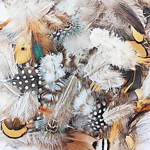 180pcs 6 Style Natural Feathers Assorted Mixed Feathers for Dream Catcher Crafts Decoration (6 Styles/180 Pcs)