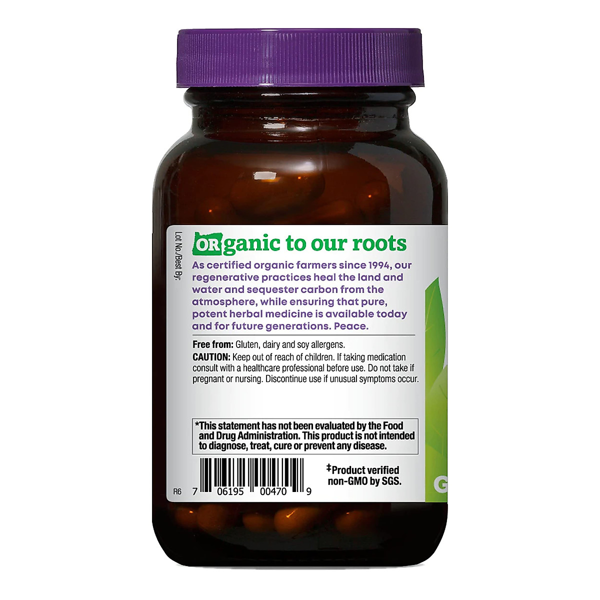 Oregon's Wild Harvest Ashwagandha Ginkgo Organic Non-GMO Herbal Supplements Vegan Plant sourced Capsules | Support for Calm and Relaxed Mind, 90 Count