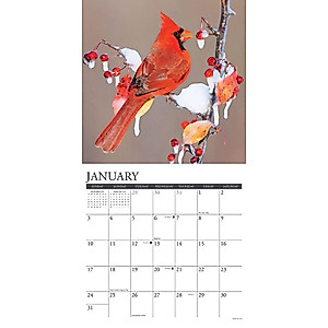 Cardinals 2021 Wall Calendar