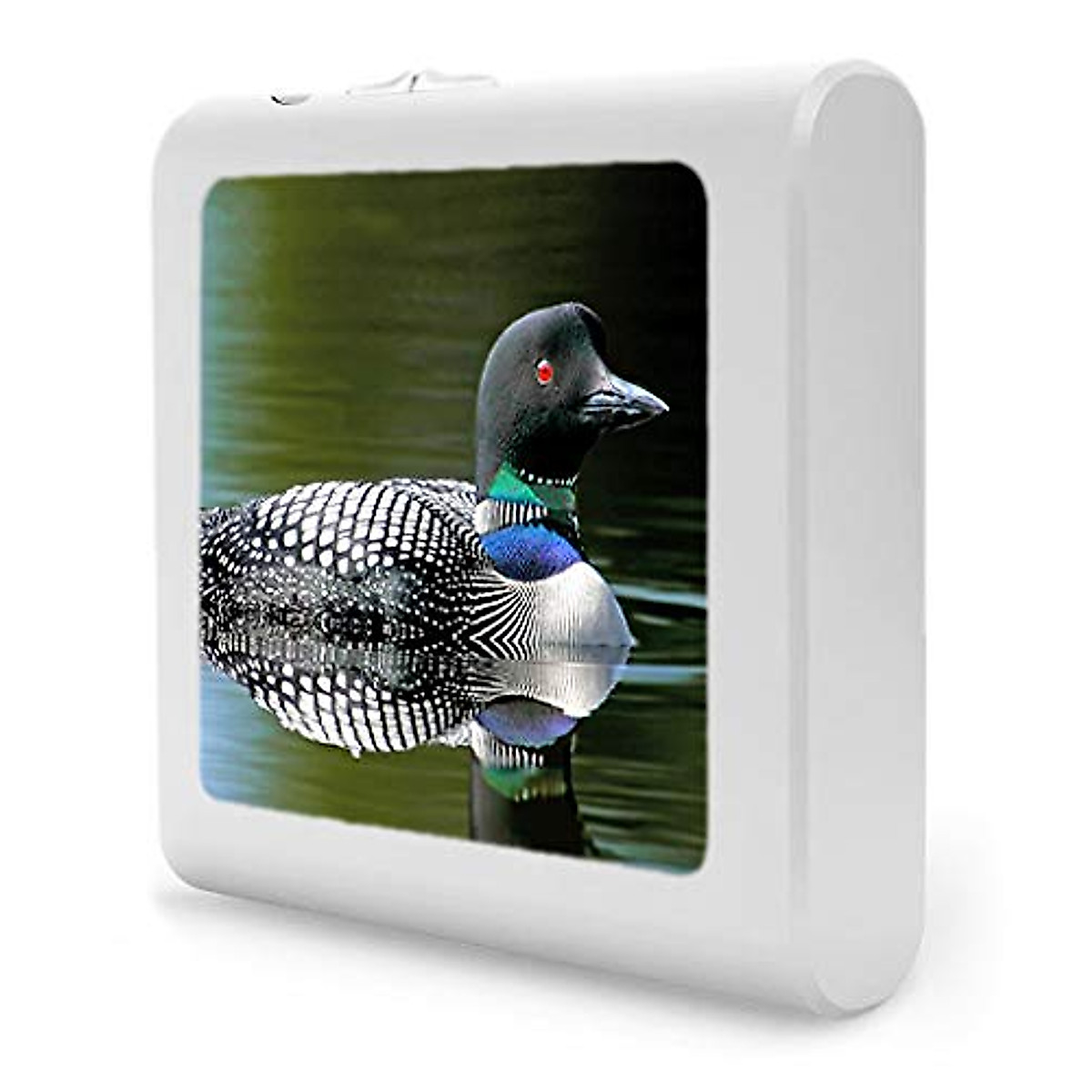 Plug in Dimmable LED Night Light with Dusk to Dawn Auto Sensor, Adjustable Brightness, Warm Light, Auto On-Off Nightlight for Bathroom, Hallway, Nursery, Bedrooms - Loon