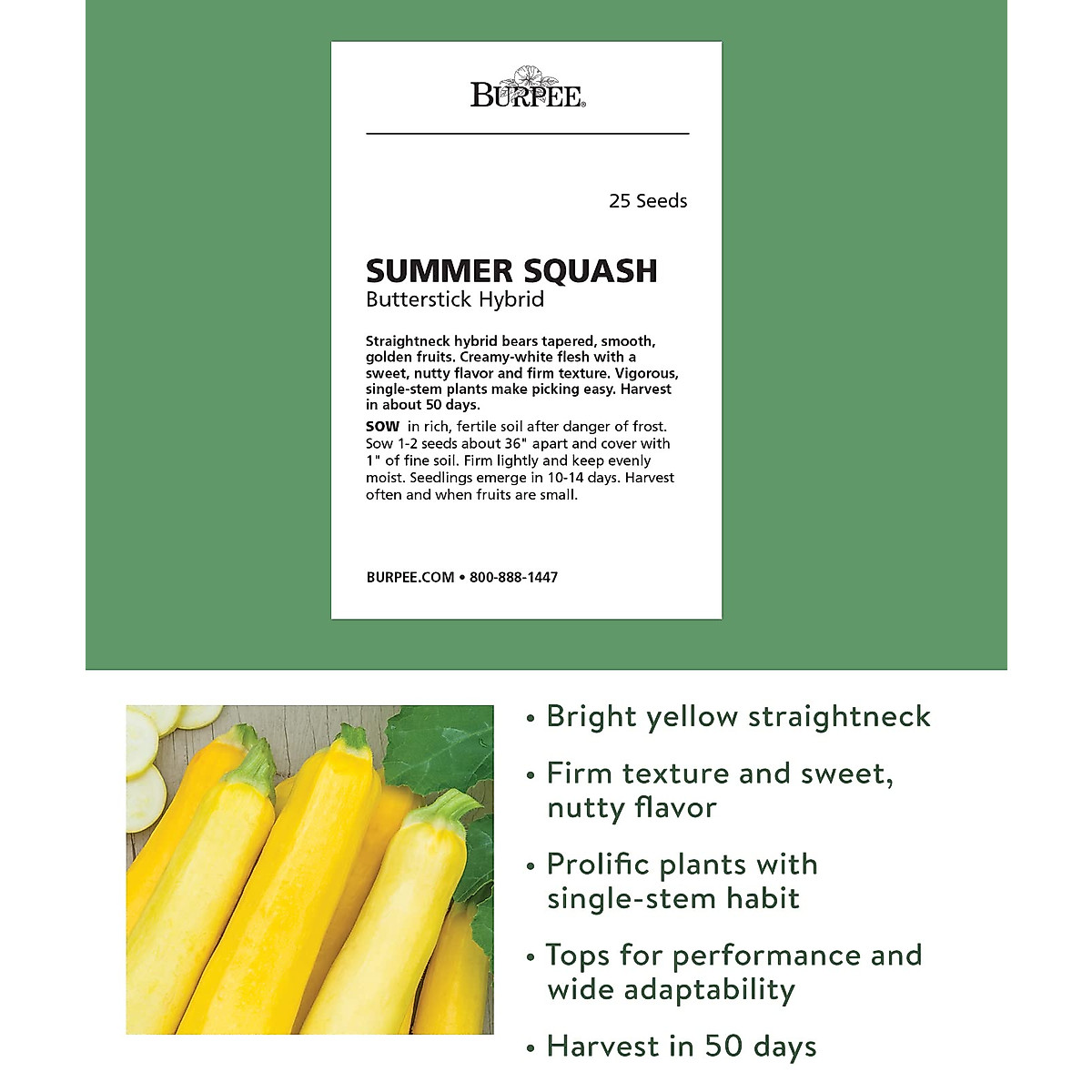 Burpee Butterstick Zucchini Summer Squash Seeds 25 seeds
