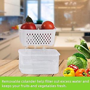 5-Pack Fruit Storage Containers for Fridge with 5pcs Sealing Clips, Fridge Organizers And Storage Clear Refrigerator Organizer Bins for Vegetable Berry Lettuce, BPA-Free Dishwasher & Microwave Safe