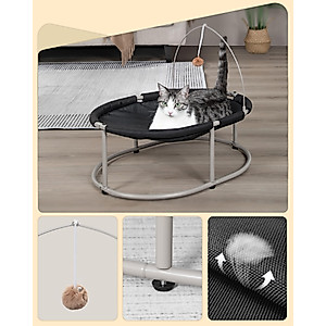 Hzuaneri Oval Raised Cat Bed, Elevated Pet Hammock, for Kitty Cat Small Dog with Pompom, Detachable and Washable, Easy Assembly Cat Cot Excellent Breathability, for Indoors & Outdoors, Black PB06701X