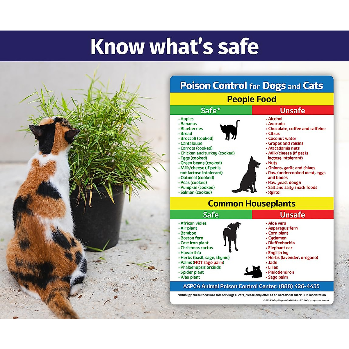 Foods and Plants Toxic to Cats and Dogs Fridge Magnets (5 Pack) - Pet Poison Control - by Safety Magnets - 5 x 7 inches