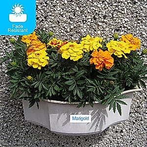 KCMYTONER Label Tape Refills Compatible for Brother P-Touch TZe 253 AZE Laminated Blue on White Tape 0.94" 24mm for PTP700 P710BT P750W PTD600 PTD800W PT2430PC PTE550W PT9600 PTP900W, 40 Pack