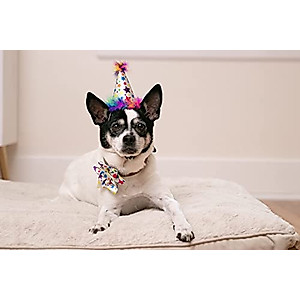 H&K Pet Pinwheel | Superstar (Small) | Birthday Velcro Collar Accessory for Dogs/Cats | Fun Pet Pinwheel Collar Attachment | Cute, Comfortable Pet Accessory