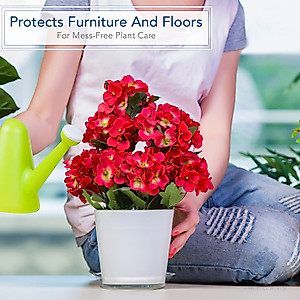 Royal Imports Plastic Planter Saucer, Clear Drip Tray, Flower Pot Disposable Bowl Plate, Moisture Drainage Liner for Home and Garden, 12", 10-Pack