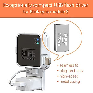 256GB Blink USB Flash Drive for Local Video Storage and The Outlet Mount for Blink Sync Module 2(Blink Add-On Sync Module 2 Itself is NOT Included)