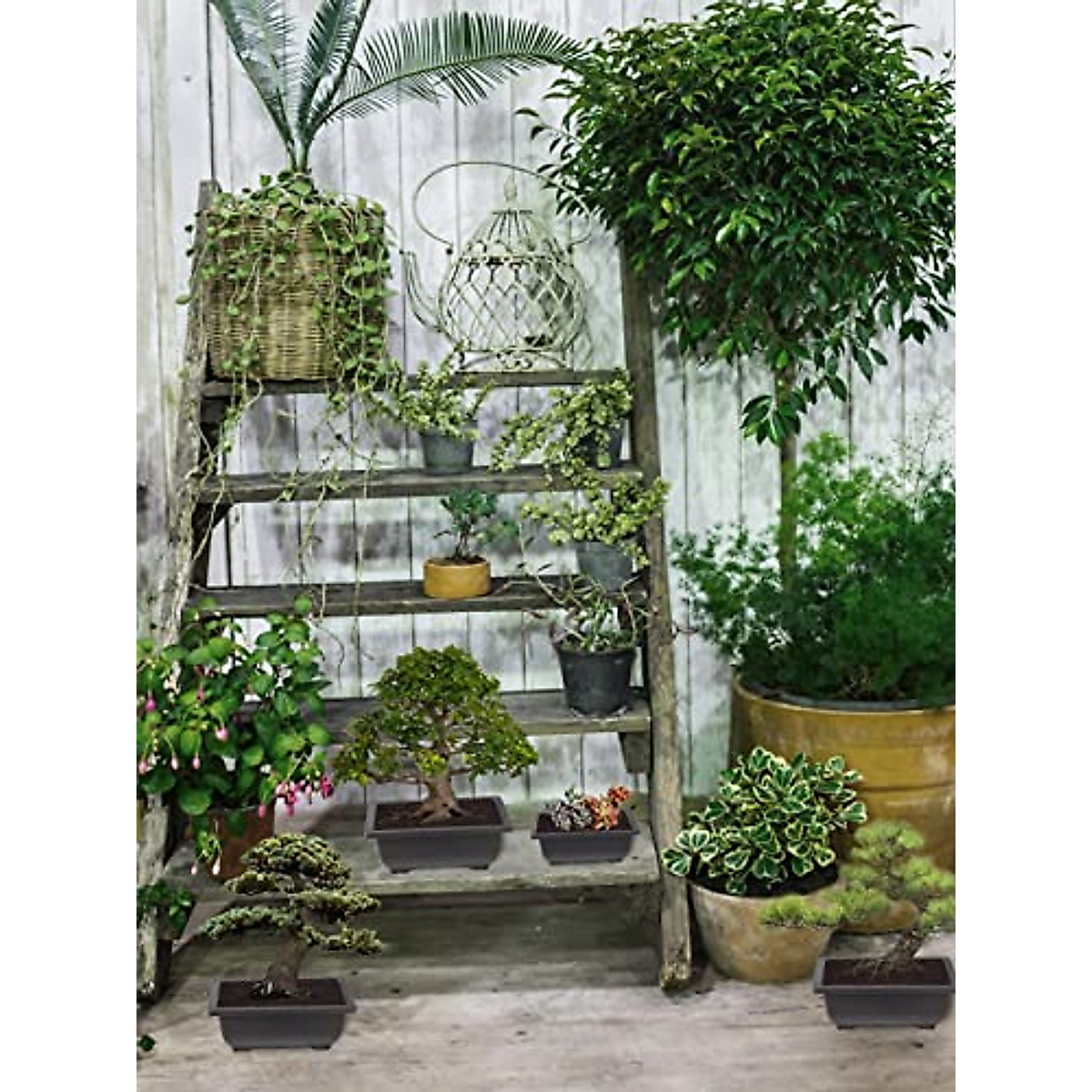 8 Packs Bonsai Training Pot with Humidity Tray - 6.5inch & 8.9inch Small Bonsai Tree Pots Kit, Plastic Plants Growing Planter with Drainage Tray, Indoor Decor Garden Yard