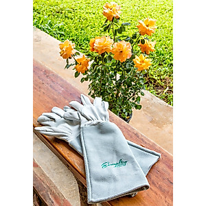 Rose Pruning Gloves for Men and Women - Thorn Proof Goatskin Leather Gardening Gloves with Gauntlet (Extra Large，Natural)