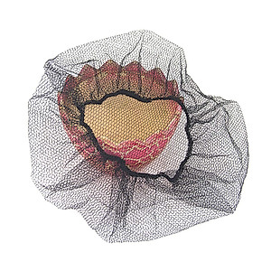 QIAN SOU Disposable Hair Nets Durable Nylon Caps Breathable Honeycomb 24" (100)