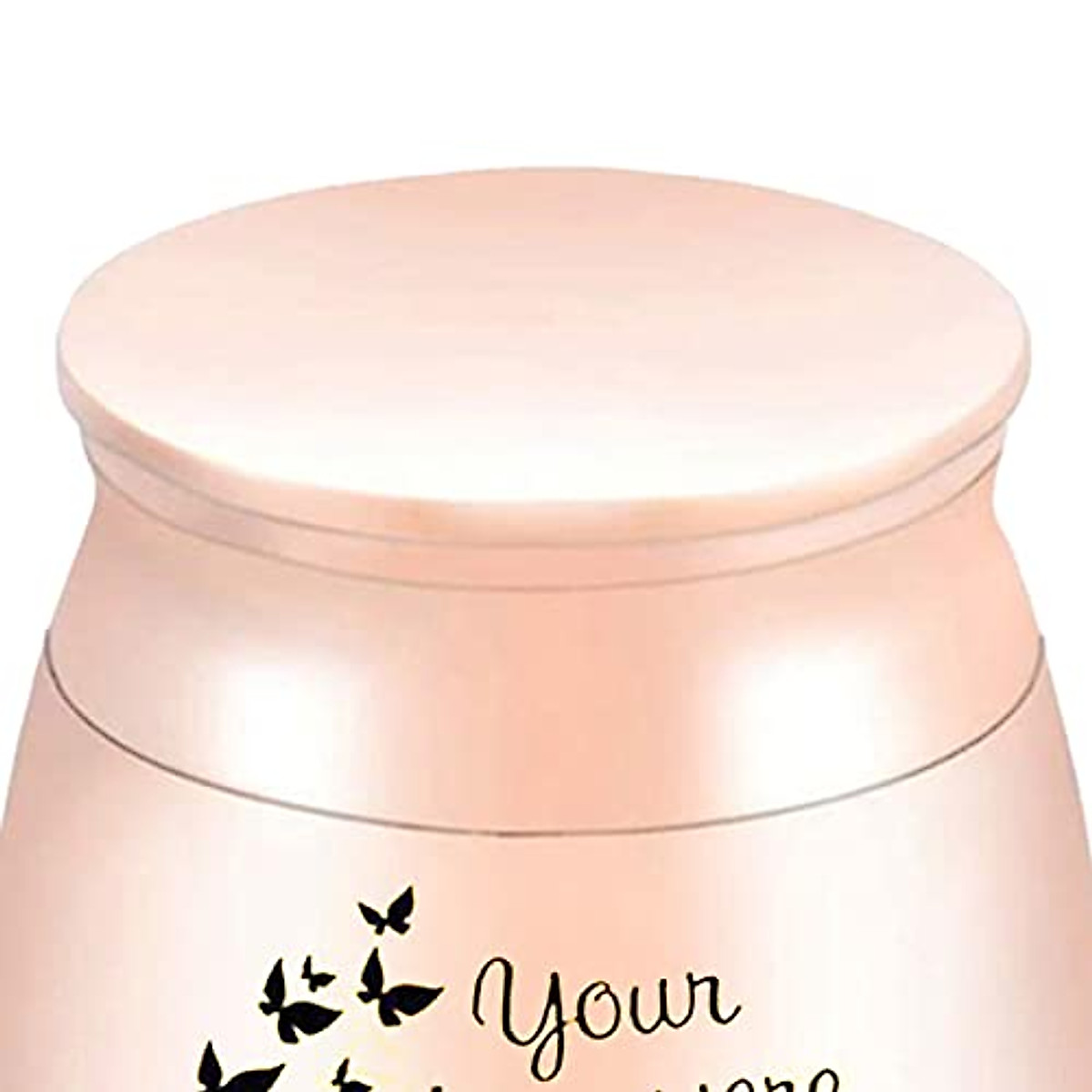 angel3292 Air Tight Pet Funeral Urn English Letters Metal Memory Box Pets Ashes Casket for Home Pet Memorial Urn Anti-Rust for Cats