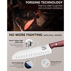 Hinye Chef Knife Ultra Sharp Santoku Knife Japanese Chefs Knife, Kitchen Knife Gadgets Birthday Gifts for Women Men Dad with High-End Gift Box (Ruby Red)