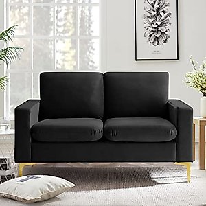 FREEHOMAE Velvet Loveseat with Gold Metal Legs & Square Armrest Small Couch Sofa for Limited Space, Modern 2- Seat Sofa for Apartment (Black)
