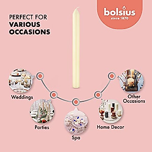 BOLSIUS 10 Count Household Ivory Dinner Candles - 9 Inches - Premium European Quality - Approx. 8 Hours Burn Time - Unscented Dripless and Smokeless, Restaurant, Wedding, Spa, and Party Candlesticks