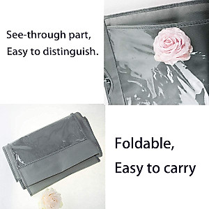ThunderStar Hanging Closet Organizer Dust-Proof Storage Wardrobe Handbag Holder, Dual-Sided 6 Clear See-Through Pockets