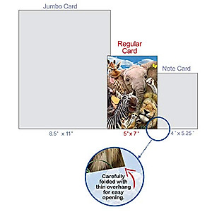 NobleWorks - 1 Funny Animal Birthday Card with Envelope - Cute Kids Card for Birthdays - Here's Looking at Zoo C6639FBDG-US