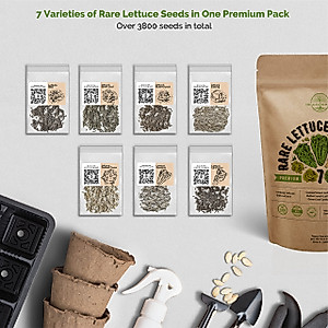 Organo Republic 7 Lettuce Seeds Variety Pack - Non-GMO Heirloom for Lettuce Hydroponic, Aerogarden, Indoor & Outdoors. 3800+ Seeds: Bibb, Romaine, Iceberg, Green Oakleaf, Red Leaf Lettuce