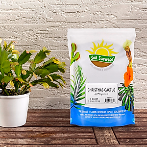 Christmas Cactus Potting Soil Mix (4 Quarts), Hand Blended Soil for Indoor Houseplants Custom Blended