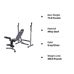 Body Champ Weight Bench with Leg Extension Attachment, 2-Piece Combo Adjustable Bench Press, Workout Bench and Squat Rack BCB3780, Gray/Silver
