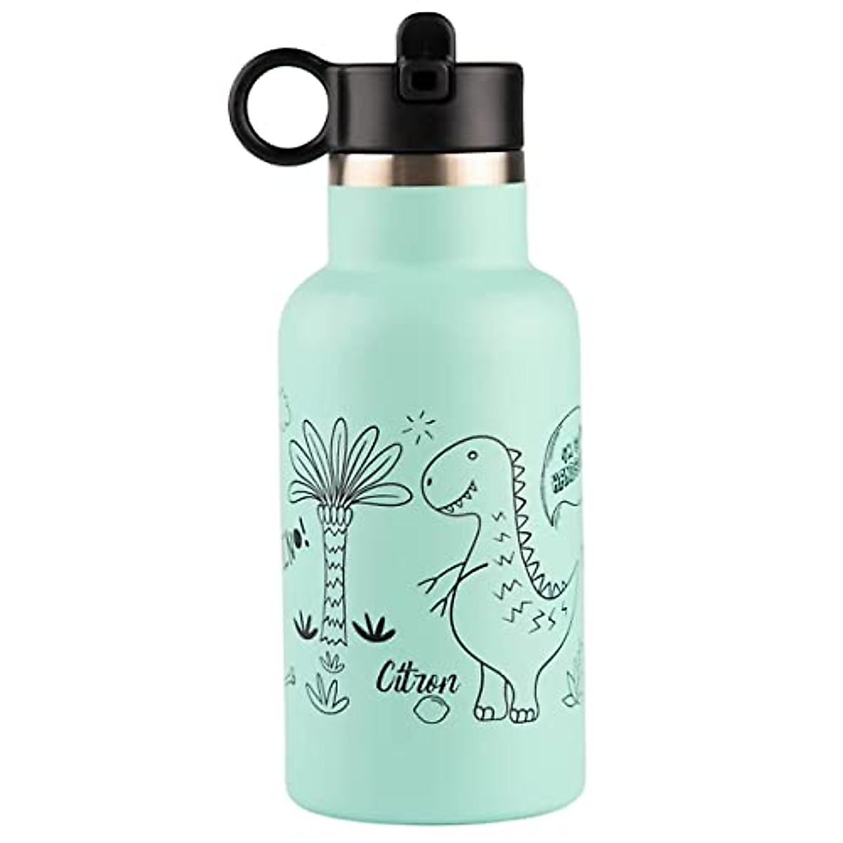 Citron - Stainless Steel Water Bottles, Insulated Metal Water Bottle- 12oz Thermal Water Bottle (Dino)