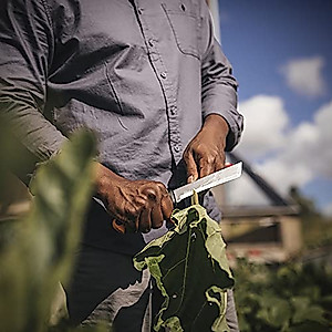 Fiskars 340150-1001 Food Gardening Harvesting Knife, Black/Orange