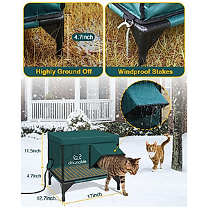 Clawsable Premium Heated Cat House for Outside Winter, 100% Weatherproof, Safe Escape Door, Insulated Outdoor Cat House Shelter with Heater for Feral Barn Cat Kitty (Dark Forest Green, Small)