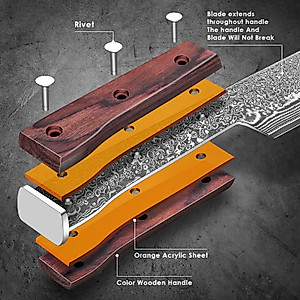 COOKLET'S Small Pairing Knife for Cutting Fruit, Professional VG10 Damascus Steel Forged Ultra Sharp Kitchen Knife, G10 Ergonomic Color Wooden Handle with Luxury Gift Box