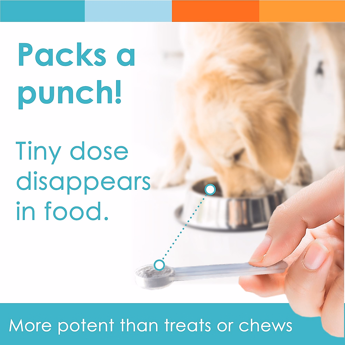 UTRIN - Urinary Support for Cats & Dogs - Dual-Action Cranberry & D-Mannose - for Natural Bladder Health, Incontinence, and Recurring UTI, 60 Servings