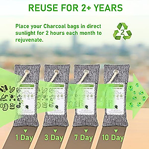 10 Pack Bamboo Charcoal Air Purifying Bags, Activated Charcoal Air Freshener, Nature Fresh Air Purifier Bags, Smell Absorbers for Home, Pet, Closet, Car, Mildew (6x200g, 4x50g) (10)