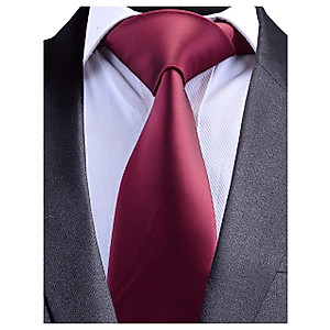 GUSLESON Solid Burgundy Tie Satin Maroon Necktie Wedding Wine Ties for Men Waterproof material (0766-01)