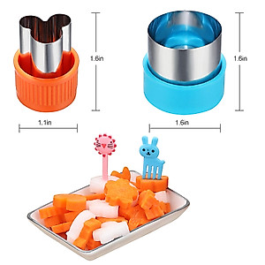 Vegetable Cutter Shapes Set, 24pcs, Mini Cookie Cutters Set Fruit Cookie Pastry Stamps Mold with 30pcs Food Picks and Forks -for Kids Baking and Food Supplement Accessories