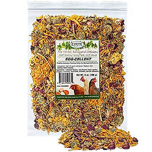 Exotic Nutrition Egg-Cellent (6oz) - Healthy All-Natural Chicken Nesting Herbs - Natural Flowers, Herbs & Calcium Carbonate - Promotes Healthy Chickens & Eggs (6 oz)
