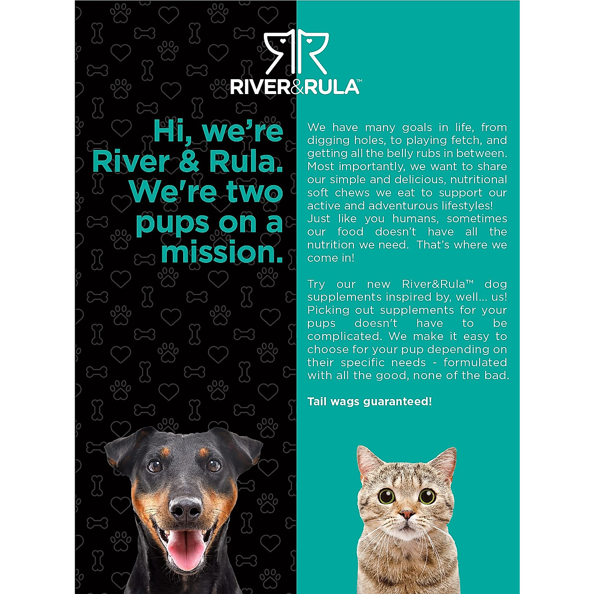 Horbäach Probiotics for Dogs & Cats | 120 Chewable Tablets | Digestive Aid | with 14 Probiotic Strains | Savory Beef Flavored Pet Supplement | by River & RULA