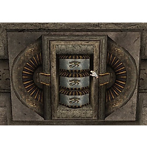 Tomb Raider Anniversary for wii (Renewed)