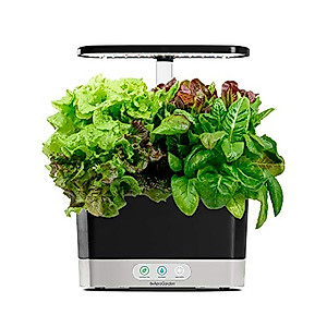 AeroGarden Harvest Elite - Stainless Steel & Heirloom Salad Greens Seed Pod Kit, 6