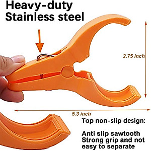 IELEK Beach Towel Clips Jumbo Size for Beach Chairs/Pool Lounges/Cruise Plastic Towel Clamp Clip Holder-Keep Your Towel,Clothes,Quilt,Blanket from Blowing Away,Bright Colors Clothes Lines(8 Pack)