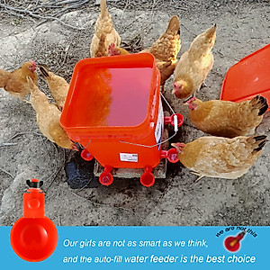 Cocoyeye 6 Pack Chicken Waterer Cups, DIY Chicken Water Feeder, 3/8 Inch Automatic Filling Water Poultry Drinking Bowl Split Type for Ducks, Turkeys,Goose，Birds (6)