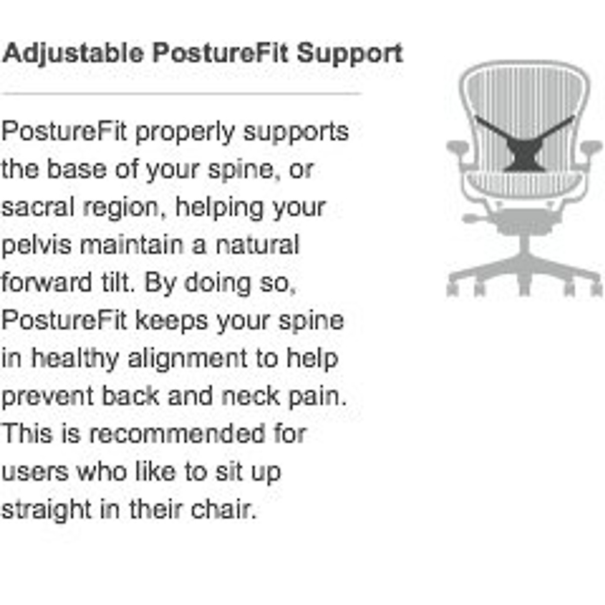 Herman Miller Aeron PostureFit Support Kit Add-On - Graphite - Size B