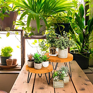 DEAYOU 2 Pack Small Wood Display Stand, 10"/ 8" Round Wooden Cupcake Pedestal, Paulownia Wood Slice Stand with Metal Leg for Plants, Rustic Wedding Cake Holder Slab Tray for Decor, Flower Pots, Table