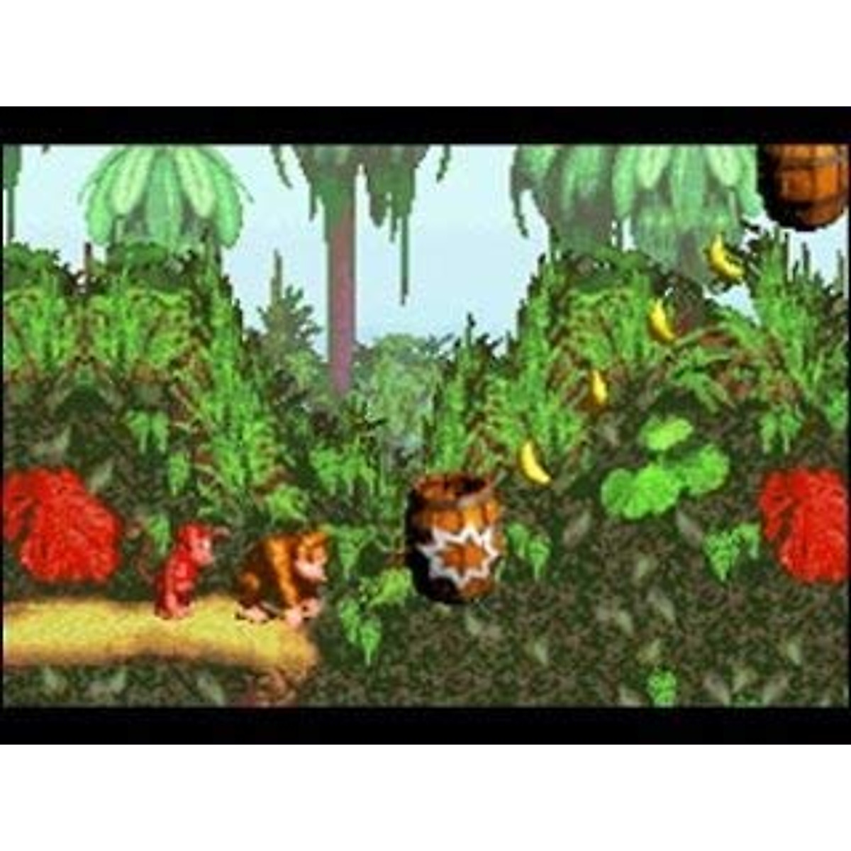 Donkey Kong Country (Renewed)