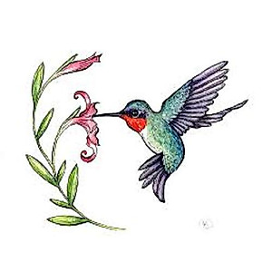 without brand Set of 48 Envelope Seals Labels Hummingbird Flower 1.2" Round