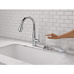 Delta Faucet Glass Rinser for Kitchen Sinks, Kitchen Sink Accessories, Bar Glass Rinser, Chrome GR150