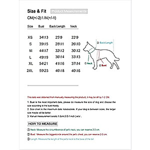 QWINEE 2Pcs Dog Plush Sweatshirt with Hat Set Lovely Dog Shirt Costume for Puppy Small Medium Dogs Kitten Cats Blue M