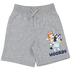 Bluey Bingo Toddler Boys French Terry 2 Pack Shorts Blue/Grey 3T
