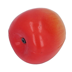 Fruit Shaker Learning Resource Plastic Percussion Shapes Fruit Shaker Set for 6+ Months Apples, Lemons, Bananas, Strawberries, Mangoes() for Child Toys Music Learning Classroom