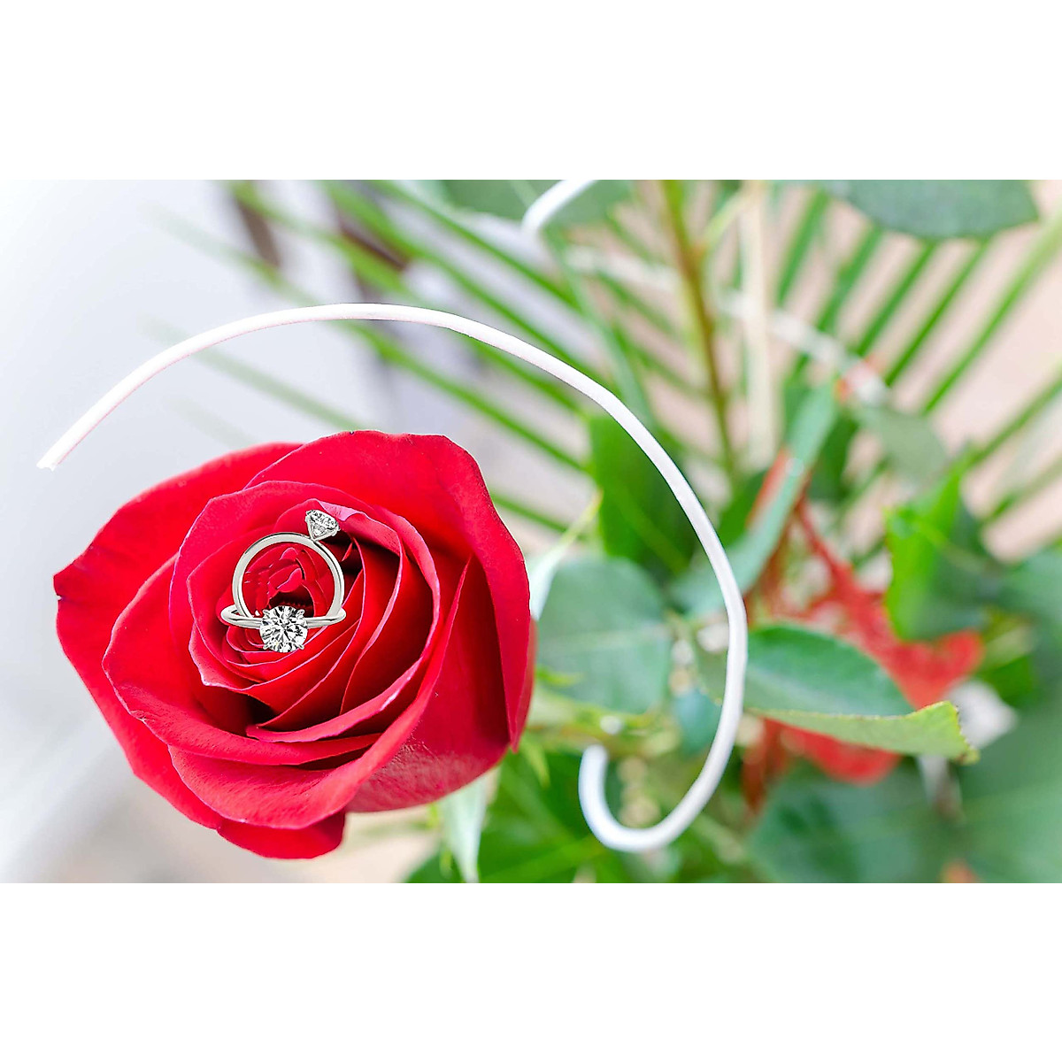 BRIGHTS COLLECTION 1/2 Carat Lab Grown Diamond Solitaire Engagement Rings For Women In 10K White Gold In Ring Size 6.5