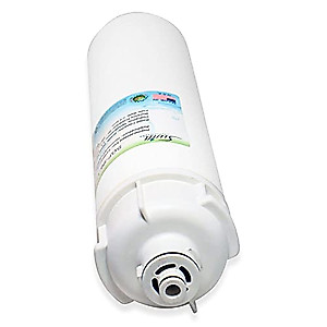 Swift Green Filters SGF-96-29 CTO-S Compatible Commercial Water Filter for EV9617-26, EV9617-21 (2 Pack),Made in USA