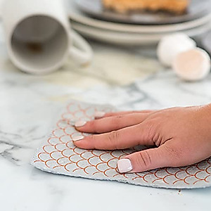 Full Circle Set of 3 Good Sheet Plant-Based Dishcloths – Super-Absorbent Reusable Dish Cloths - Multi-Use Washable Cleaning Cloths/Towels, Scales